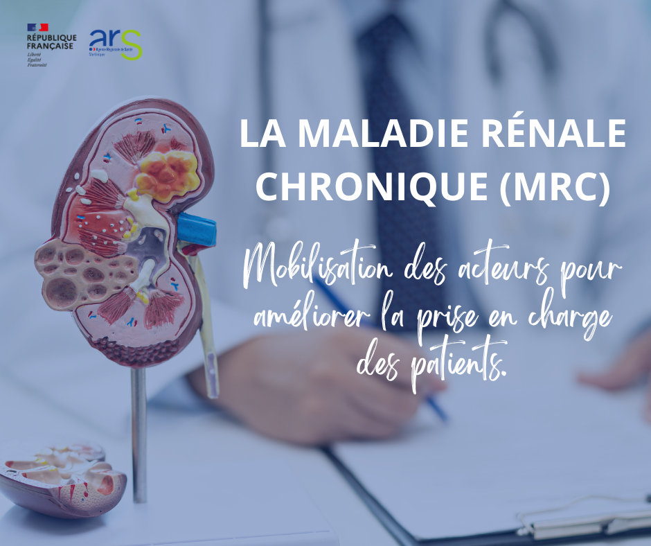La maladie rénale chronique (MRC) | Agence régionale de santé Martinique
