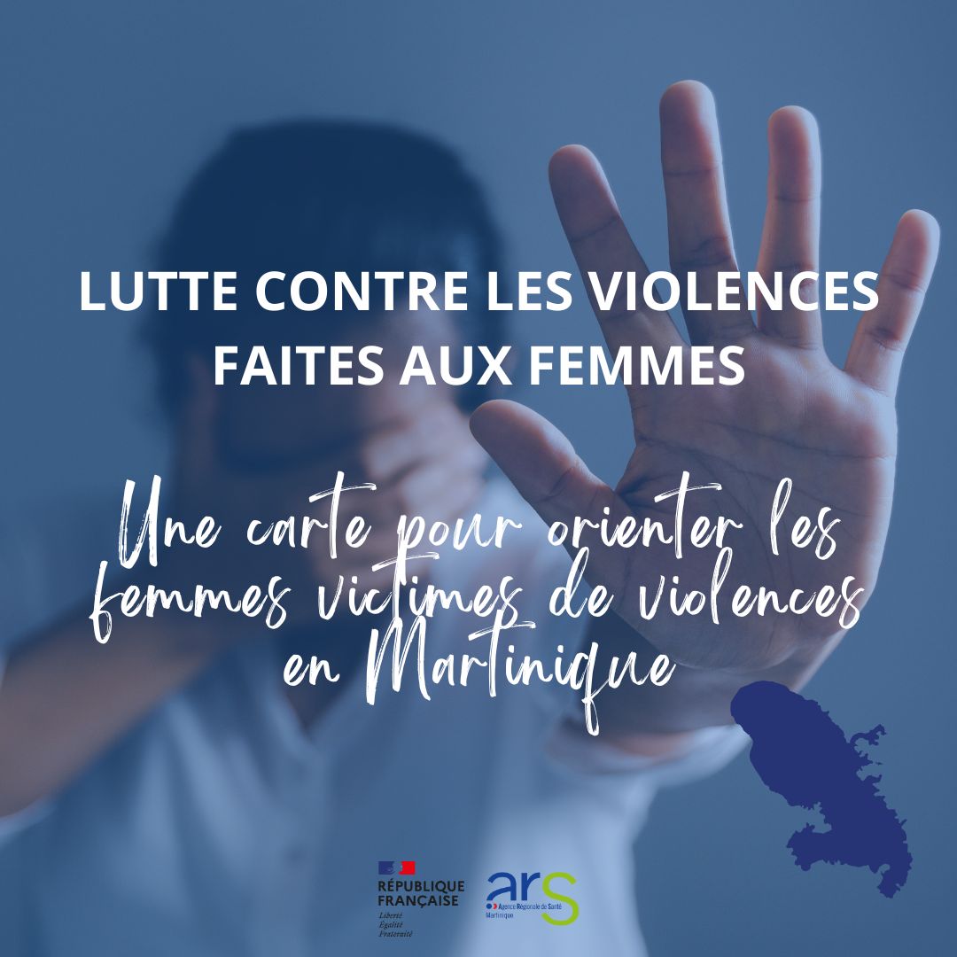 LUTTE CONTRE LES VIOLENCES FAITES AUX FEMMES | Agence régionale de ...